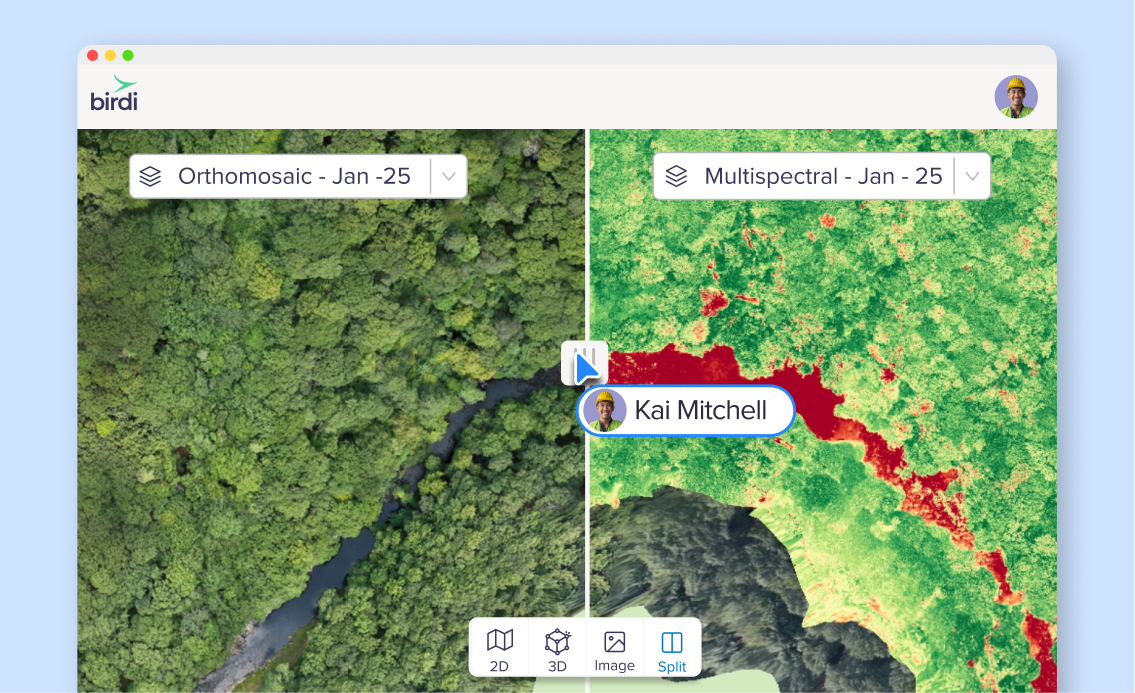 Birdi Blog: Introducing the Split Screen view in Birdi